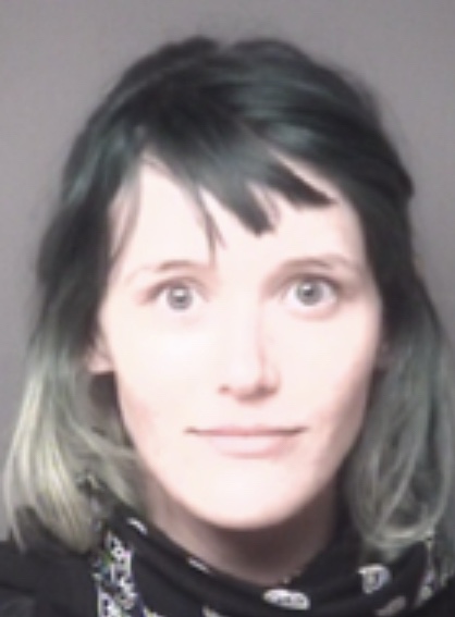 A woman who distributed fentanyl to a man who overdosed pled guilty on ...