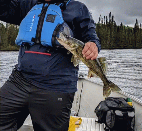 Catch-photo-release tournament encourages Iowa walleye anglers to ...