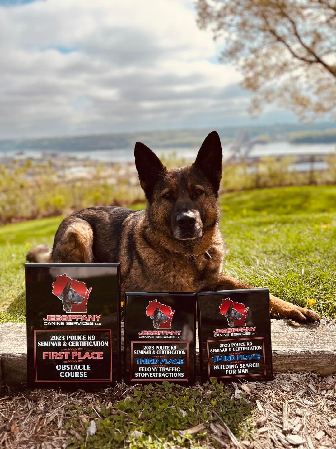 Dubuque K9s Place High At K9 Seminar And Certification Event – Dubuque ...