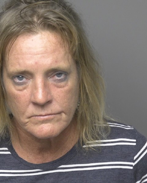 Two Florida women have been arrested for their involvement in a check ...