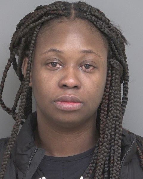 Woman Arrested For Child Endangerment – Dubuque In Pursuit News